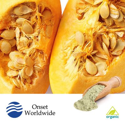 Bulk Organic Pumpkin Seed Protein Powder (Treated) | Ingredients Online