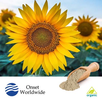 Bulk Organic Sunflower Seed Protein Powder (Treated) | Ingredients Online