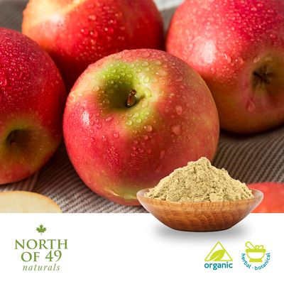 Buy Bulk Organic Apple Powder | Ingredients Online