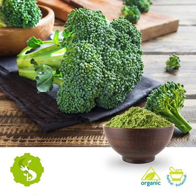 Buy Bulk Organic Broccoli Powder | Ingredients Online