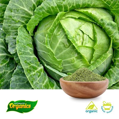 Buy Bulk Organic Cabbage Powder | Ingredients Online