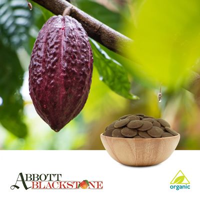 Buy Bulk Organic Cacao Paste Wafers | Ingredients Online