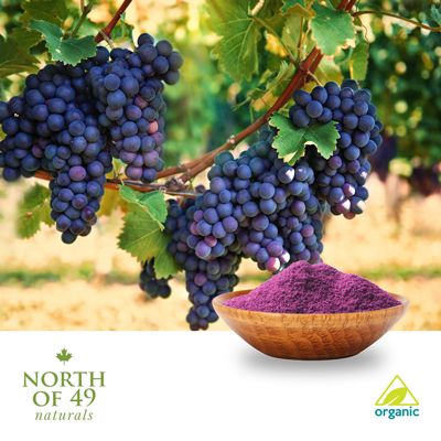 Buy Bulk Organic Grapeskin Powder | Ingredients Online
