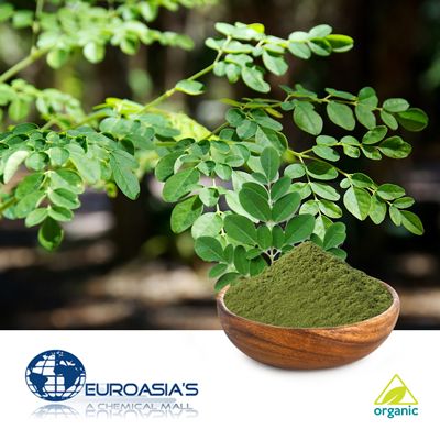 Bulk Organic Moringa leaves Powder | Ingredients Online