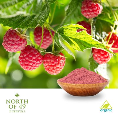 Buy Bulk Organic Raspberry Powder | Ingredients Online