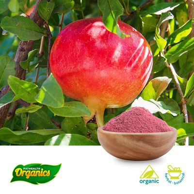 Bulk Organic Pomegranate Juice Powder | Ingredients Online