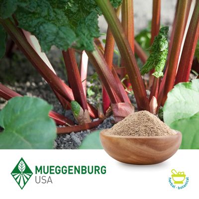 Buy Bulk Rhubarb Root Powder | Ingredients Online