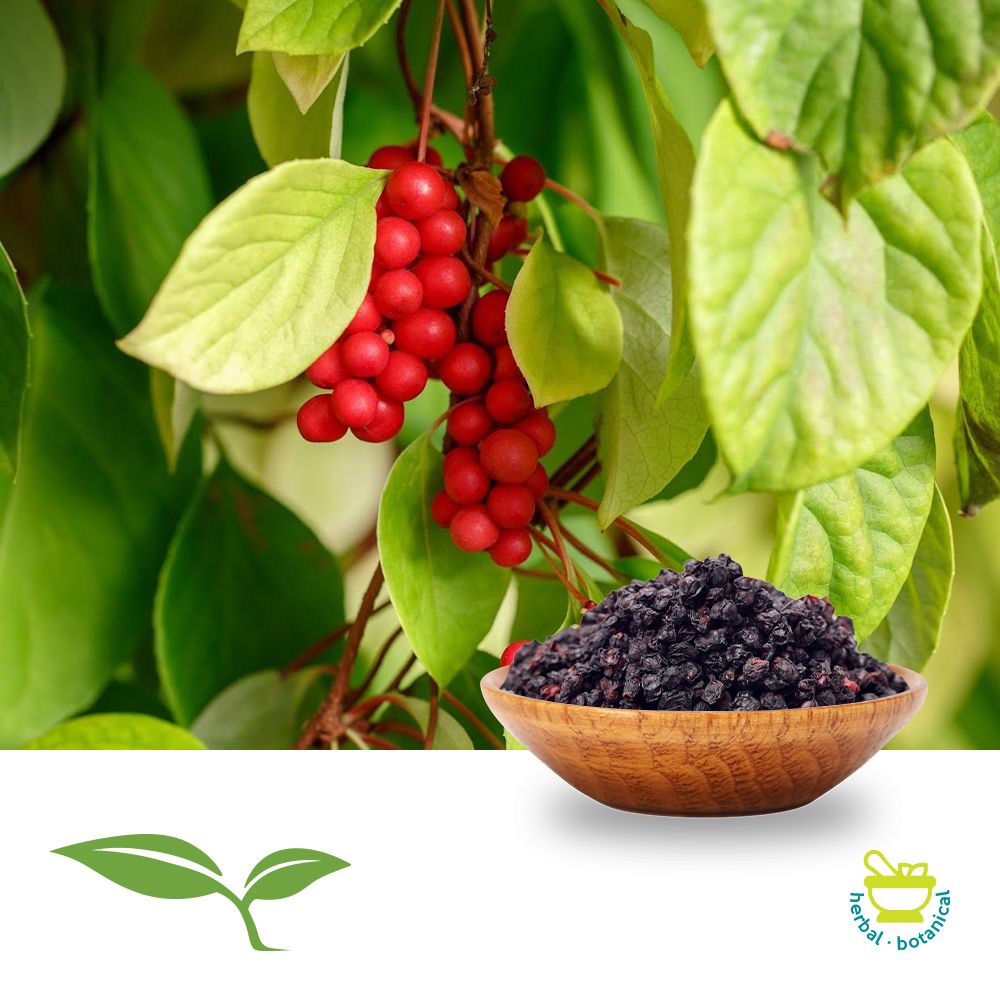Buy Bulk Schisandra Berry Whole | Ingredients Online