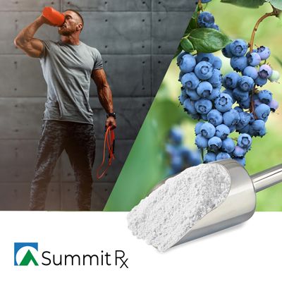 Bulk Vegan Fermented Instantized BCAA Natural Blueberry Powder ...