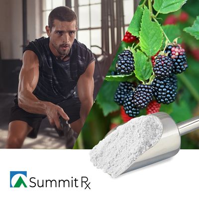 Bulk Vegan Fermented Instantized BCAA Natural Raspberry Powder ...