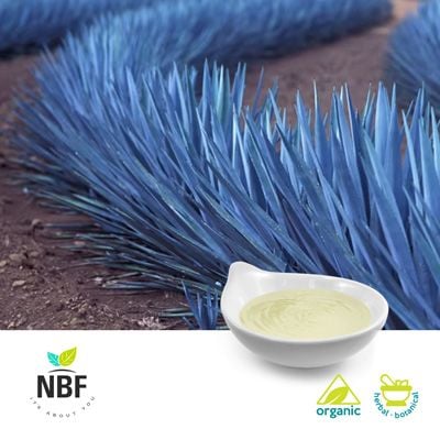 Purchase Wholesale Organic Liquid Agave Inulin | Ingredients Online