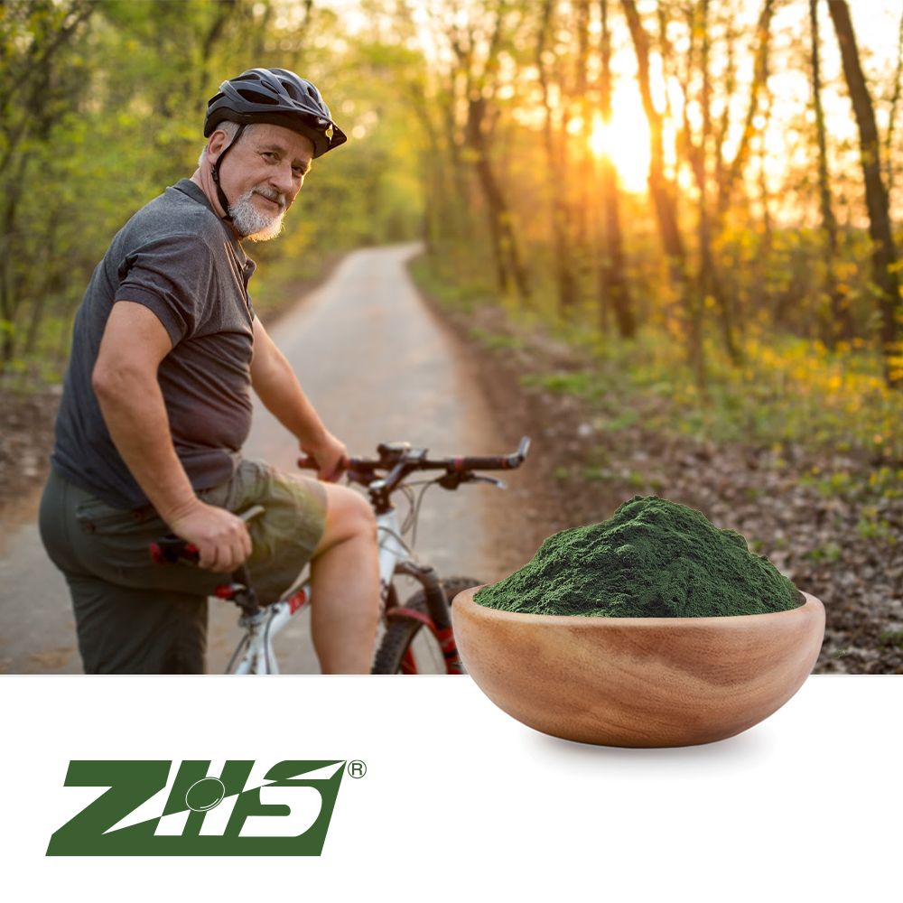 Purchase Wholesale Spirulina Powder 80 Mesh | Ingredients Online