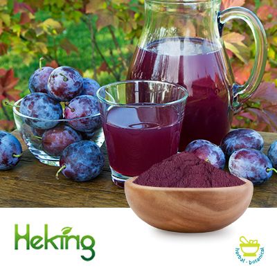 Buy Bulk Prune Juice Powder | Ingredients Online