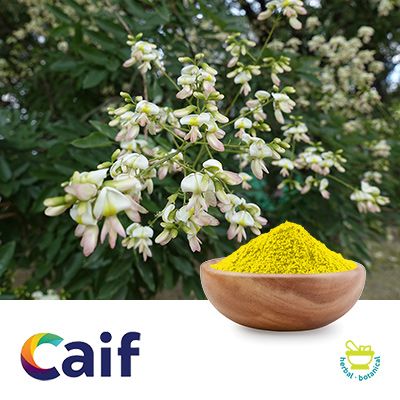 Bulk Quercetin Anhydrous 95% HPLC Granulated Powder | Ingredients Online