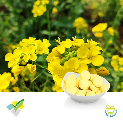 Buy Bulk Rape Pollen Tablet 640mg | Ingredients Online
