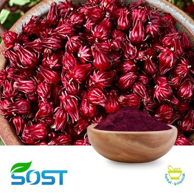 Buy Bulk Roselle Extract 10:1 | Ingredients Online