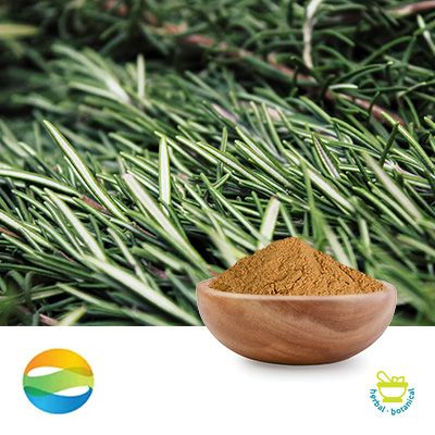 Bulk Rosemary Extract Carnosic Acid Powder 20% | Ingredients Online