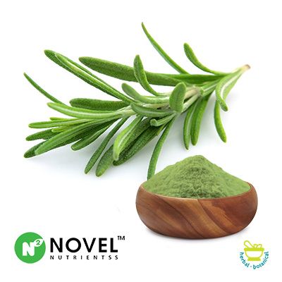 Buy Bulk Rosemary Leaves Powder | Ingredients Online