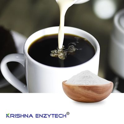 Buy Bulk Sodium Caseinate | Ingredients Online