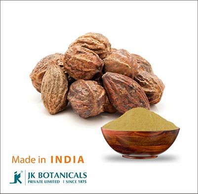 Buy Wholesale Terminalia Chebula Powder Steam Treated | Ingredients Online