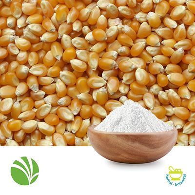 Buy Bulk ULTRA -SPERSE® A Corn Starch | Ingredients Online