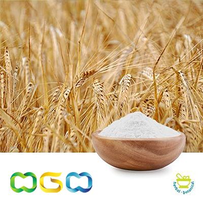 Bulk Wheat Germ Extract Powder Spermidine 1% | Ingredients Online