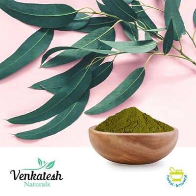 Purchase Wholesale Eucalyptus Leaf Powder | Ingredients Online