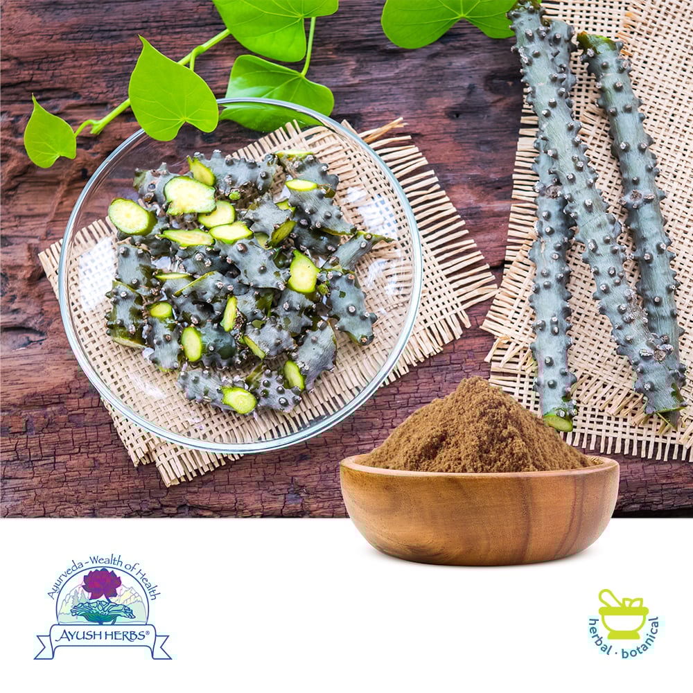 Buy Wholesale Guduchi Powder Extract | Ingredients Online