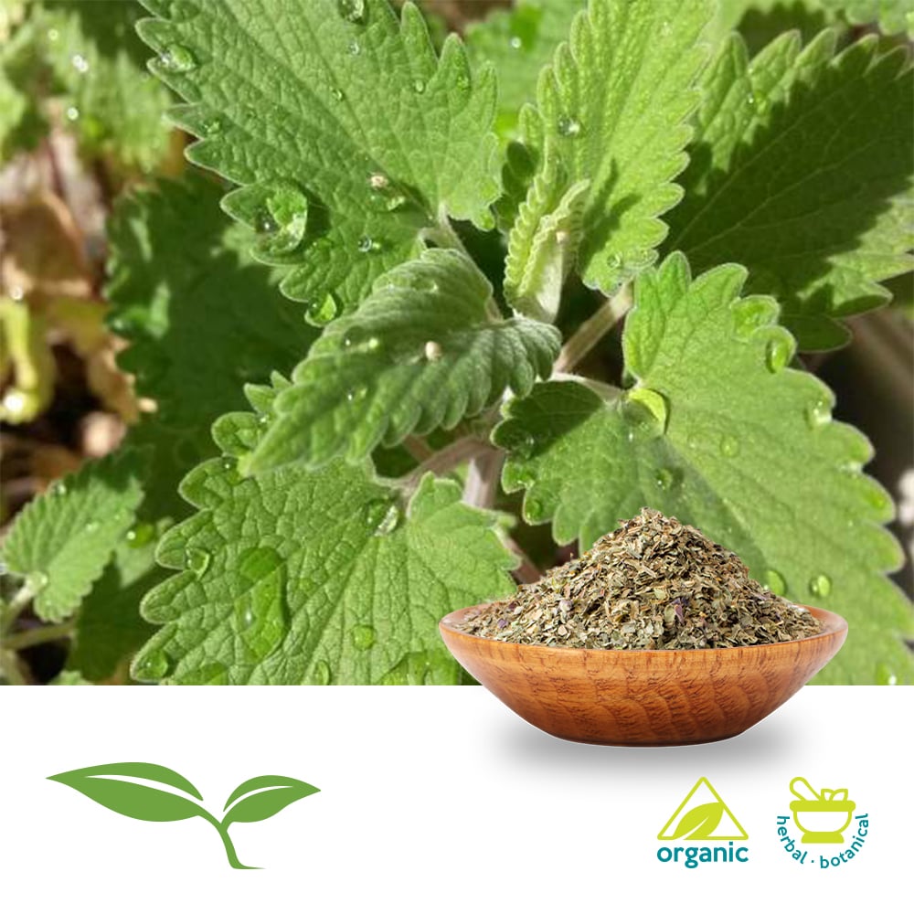Bulk & Wholesale Catnip Herb, Tea Bag Cut (Organic) | Ingredients Online