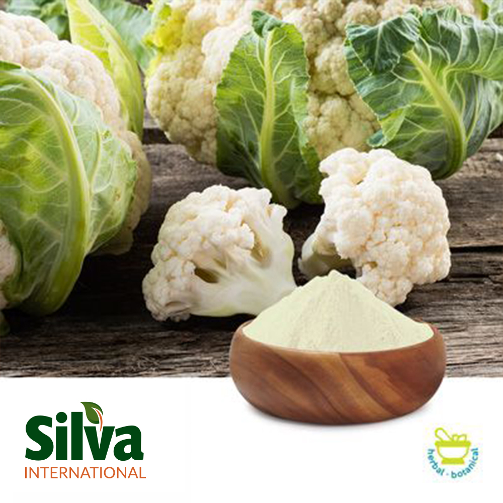 Purchase Wholesale Cauliflower Powder 60 Mesh | Ingredients Online