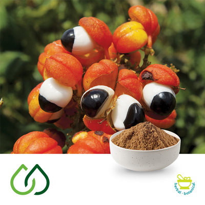 Purchase Bulk Guarana Dry Extract 22% | Ingredients Online