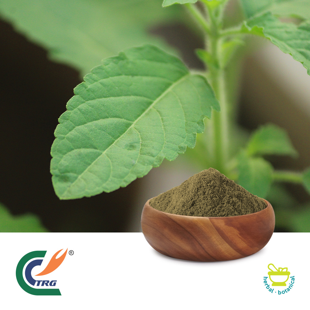 Buy Bulk Holy Basil Powder | Ingredients Online