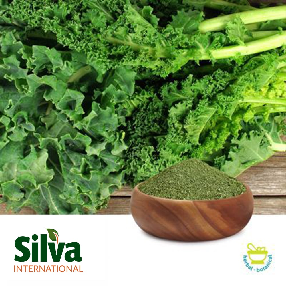 Purchase Wholesale Kale Flakes | Ingredients Online