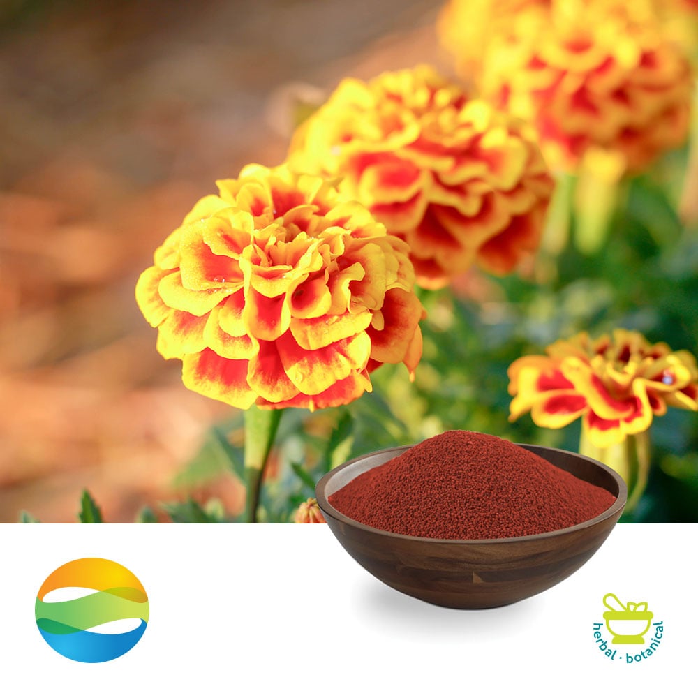 Buy Bulk Lutein 5% Beadlet | Ingredients Online