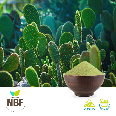 Purchase Wholesale Organic Nopal Cactus Powder | Ingredients Online