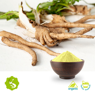 Buy Bulk Organic Chicory Root Powder | Ingredients Online