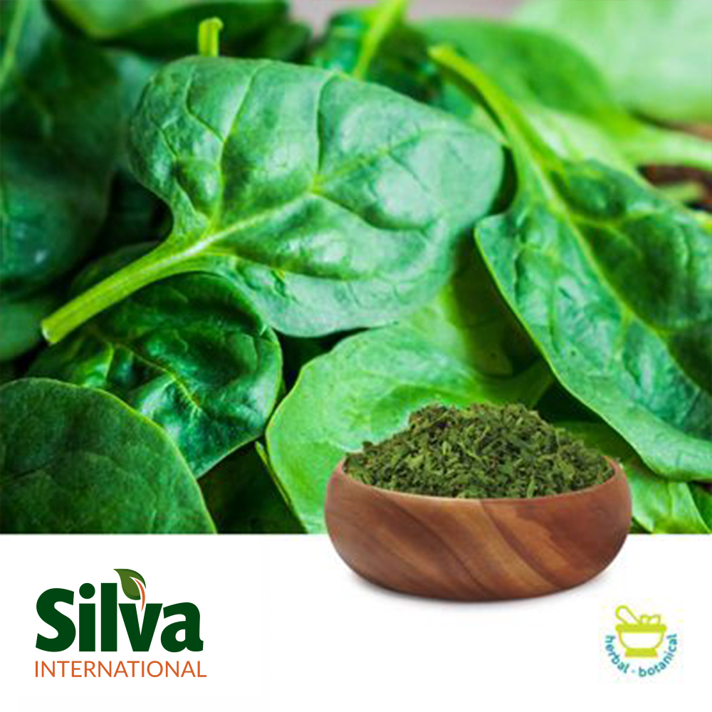 Buy Bulk Spinach Flakes | Ingredients Online