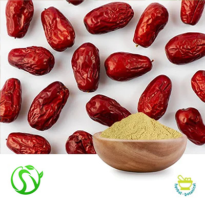 Purchase Wholesale Jujube Powder | Ingredients Online