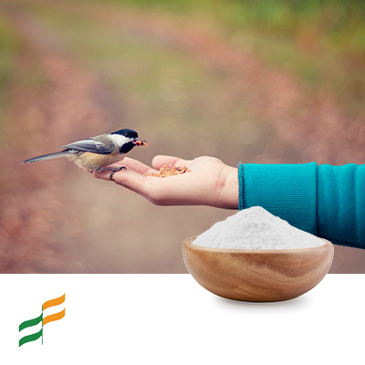 Buy Bulk L-Tryptophan Granule Feed Grade | Ingredients Online