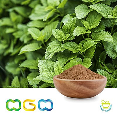 Bulk Lemon Balm Extract Powder 4:1 | Ingredients Online