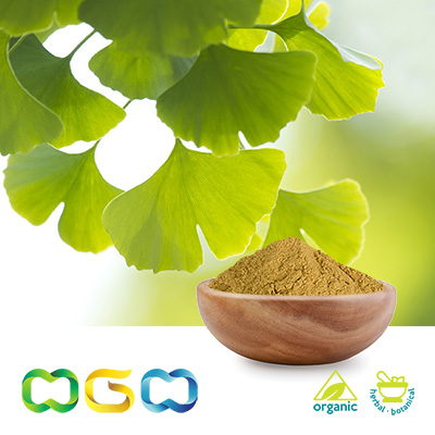 Bulk Organic Ginkgo Biloba Powder | Ingredients Online