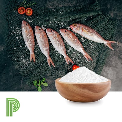 Buy Bulk PRAYPHOS™ DKP FG GR | Ingredients Online