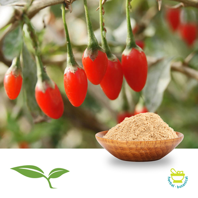 Purchase Wholesale Barberry Root Powder | Ingredients Online