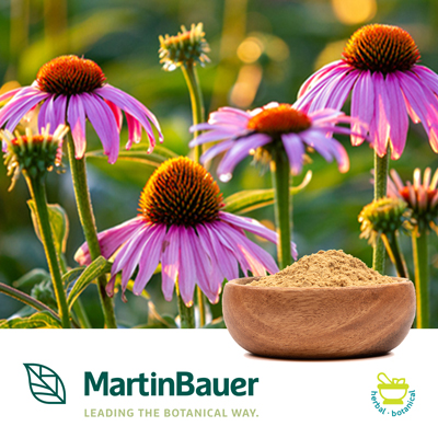 Bulk & Wholesale Echinacea Purpurea Root Powder | Ingredients Online