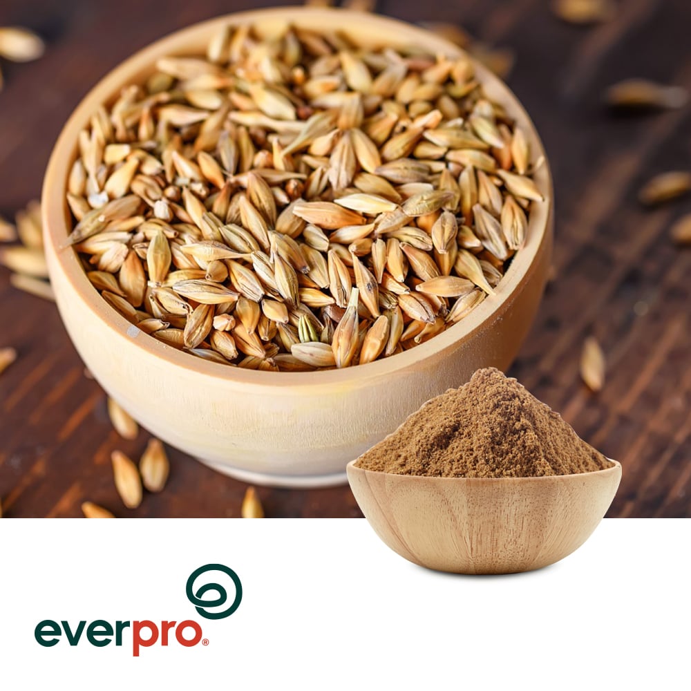 Wholesale EverPro® (Barley Protein) | Ingredients Online