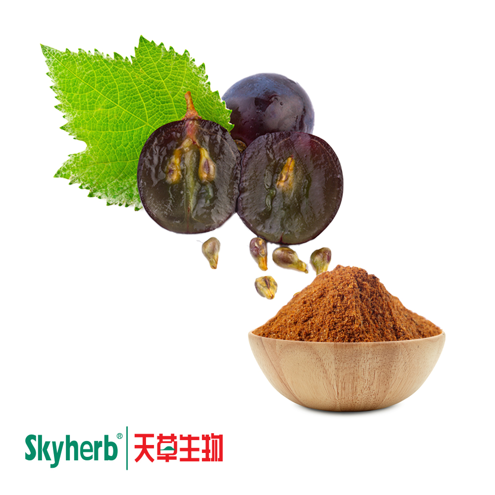 Buy Wholesale Grape Seed Extract 95% Proanthocyanidins | Ingredients Online