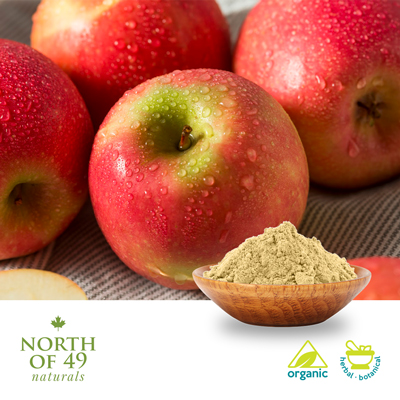 Buy Wholesale Organic Apple Powder | Ingredients Online