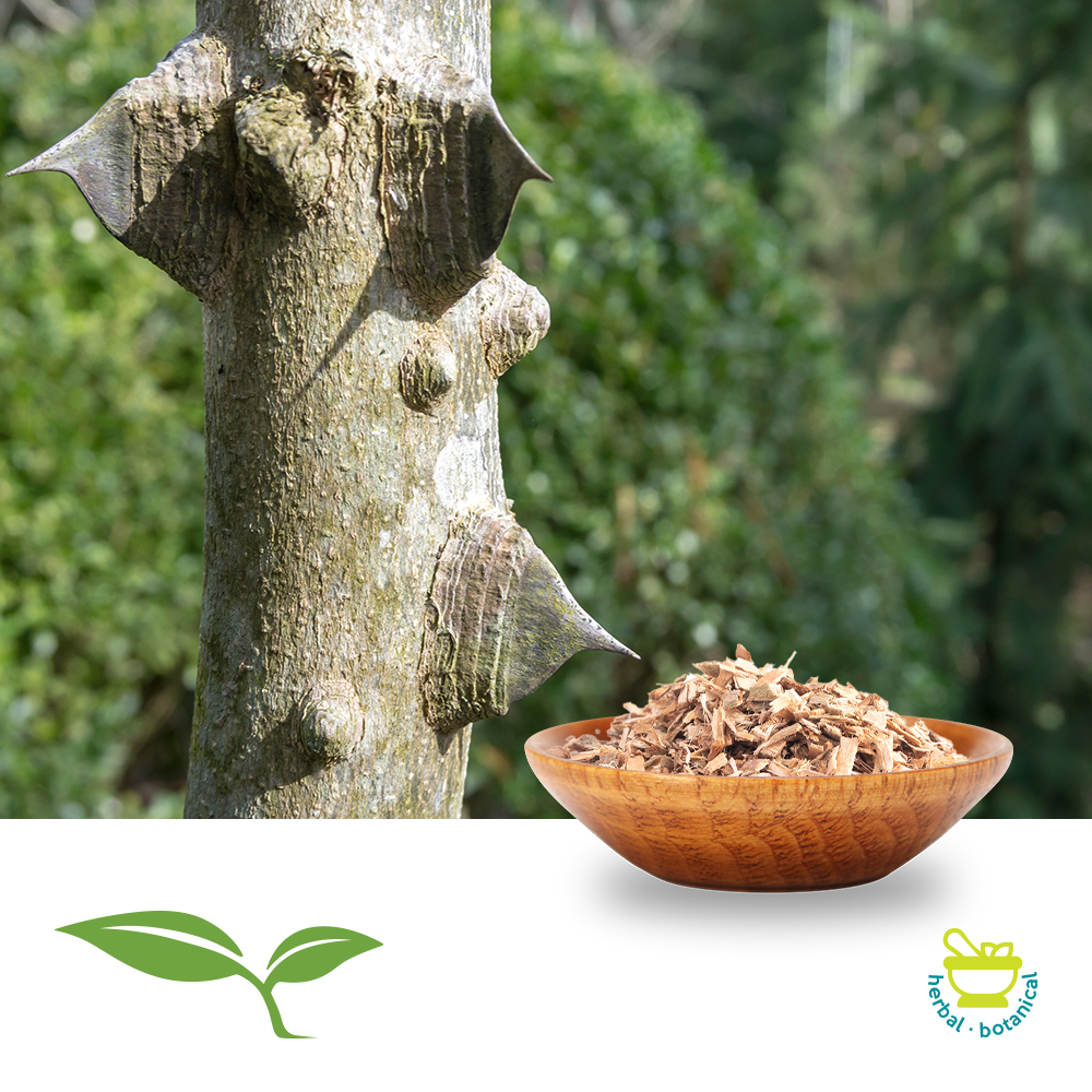 Bulk & Wholesale Prickly Ash Bark Northern Cut | Ingredients Online