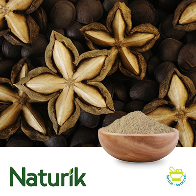 Bulk & Wholesale Sacha Inchi Extruded Powder Conventional | Ingredients ...