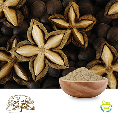 Bulk & Wholesale Sacha Inchi Powder | Ingredients Online